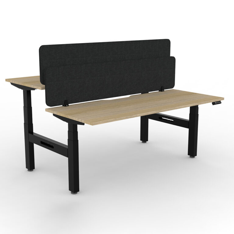Boost+ Height Adjustable Back to Back Workstation with Eco Screen ...