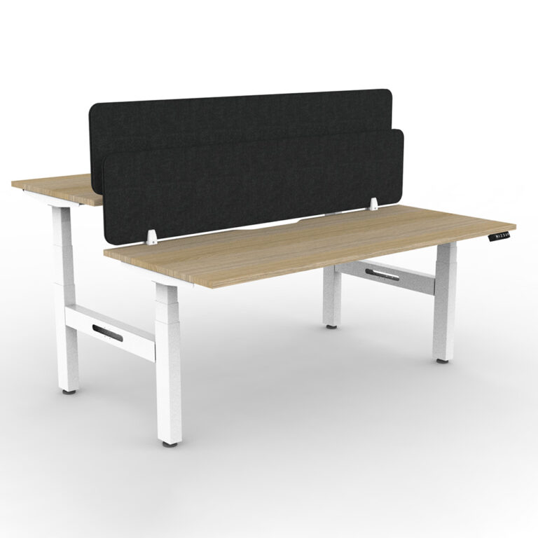 Boost+ Height Adjustable Back to Back Workstation with Eco Screen ...